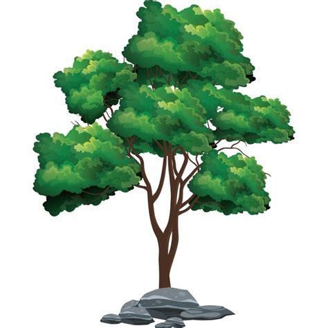 Premium Vector Tree Illustrator