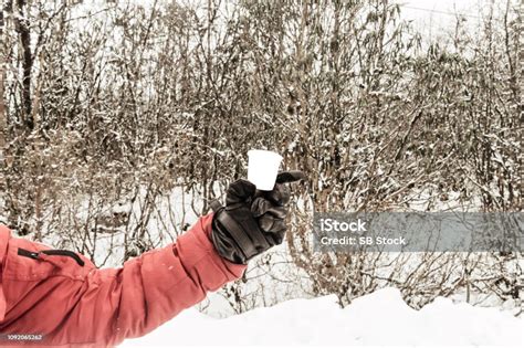 겨울 옷에서 여자 관광 차와 뜨거운 커피 컵을 보여주는의 컵을 보유 하고있다 눈에 덮여 배경에 산과 숲 행복 한 순간을 즐기는 겨울 의류 여자 신체 부분 12월에 대한 스톡