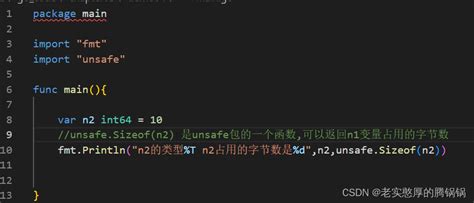 Golang中变量的数据类型golang打印变量类型 Csdn博客