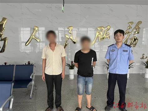 趁夜张贴“涉黄”小卡片的团伙被抓 江南都市网