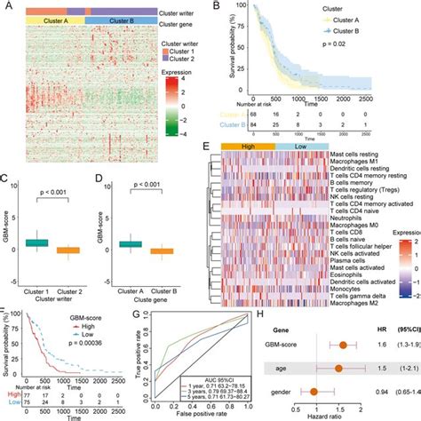 Generation Of The Rna Modification Regulator Model A An Unsupervised