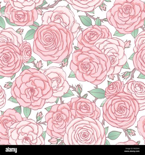 Vector Seamless Pattern With Pink Rose Flowers And Leaves On White