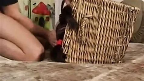 Free Rag Doll Porn Videos Xhamster