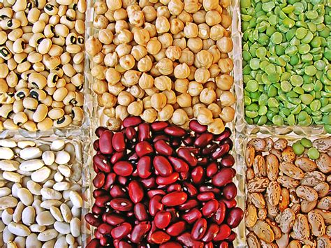 Legumes List With Pictures