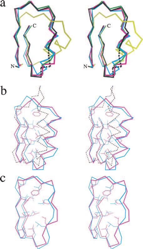 A Superposition Of 28 Residue Long ␤ × ␤ Units Of The Crystal