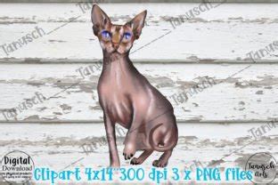 Watercolor Sphynx Naked Cat CLIPART Graphic By TanuschArts Creative Fabrica