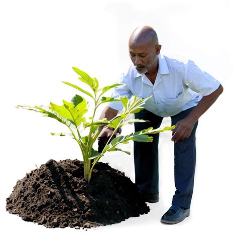 Download Man Planting Tree Png Pjh Wallpapers Com