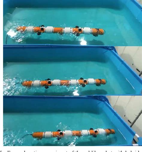 Figure From Modeling And Simulation Of An Eel Like Robot With Hybrid Control System Semantic