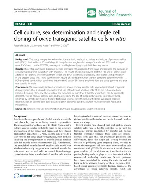 Pdf Cell Culture Sex Determination And Single Cell Cloning Of Ovine