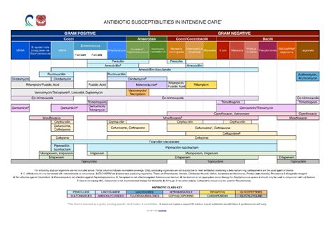 Antibiotic Classes And Coverage Chart