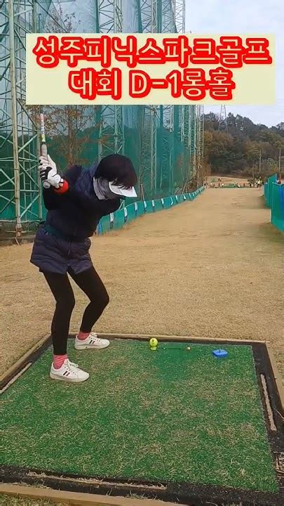 성주피닉스 파크골프 대회 Youtube