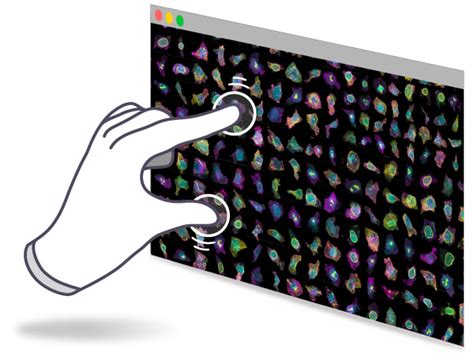 data and tools allen cell explorer