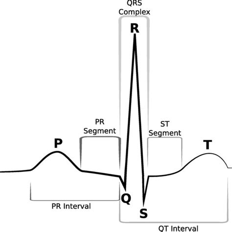 Flow Diagram Of The Main Steps Of The Ecg Data Processing For Each