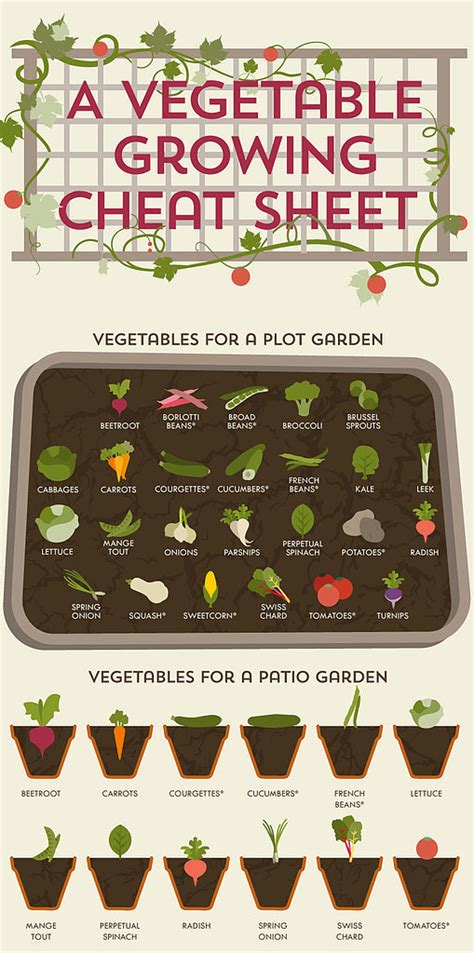 Vegetables Growing Chart At Angela Prasad Blog