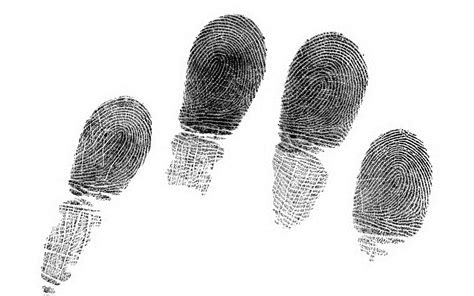 Fingerprint Patterns And The Analysis Of Gender Differences In The Patterns Based On The U Test