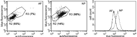 Flow Cytometry Analysis By Both Blue And Auto Fluorescence Of Rat