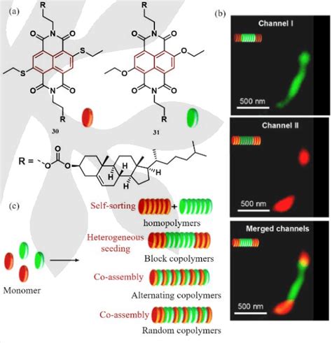 A Chemical Structures Of 30 And 31 B Sim Images Depicting Download Scientific Diagram