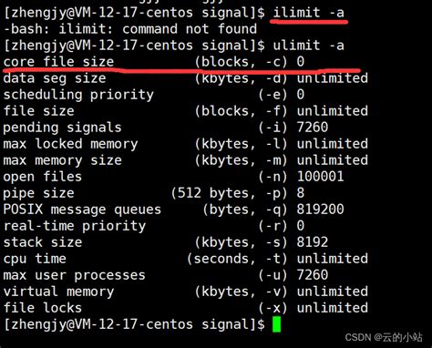 linux向进程发送信号的方式 linux发送信号给进程 CSDN博客