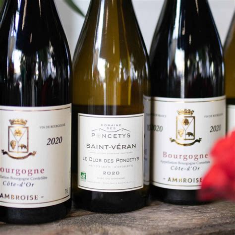 The Burgundy Wines Set Of 6 Bottles Bayley And Sage