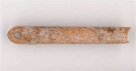 Los Primeros Norteamericanos Usaron Agujas De Huesos De Animales Con