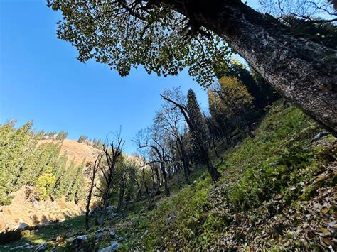 Experiencing Himalayan Autumn Trek To Chikka Campsite Part 2 — Hive