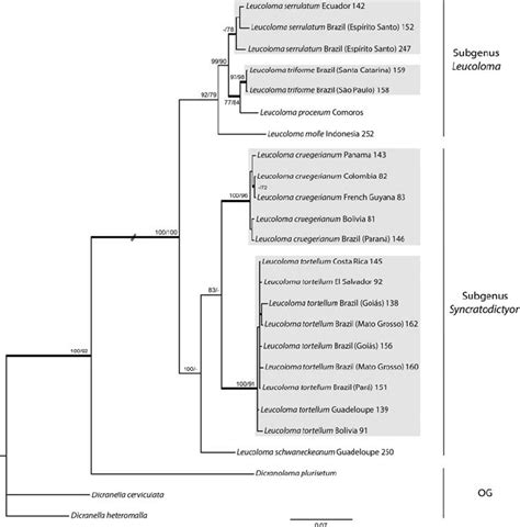 Phylogram Obtained From A Bayesian Analyses Of The Nrits Region With