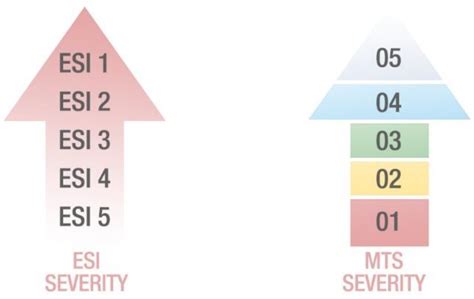 Esi And Mts Triage Systems Download Scientific Diagram