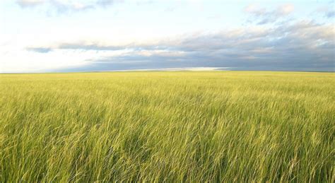 Өнө мөнхийн Монгол