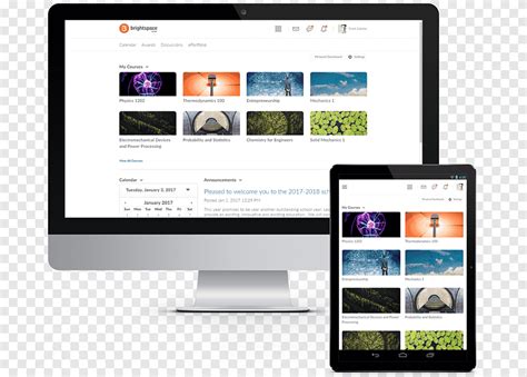 Website Development Responsive Web Design Search Engine Optimization Web Application Web Design