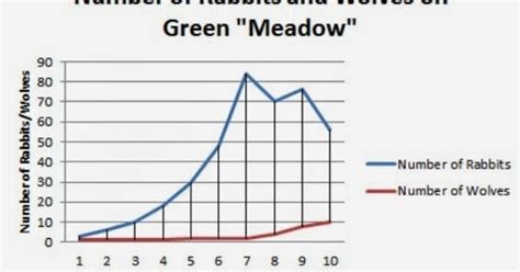 Living The Bio Life Predator Vs Prey Simulation