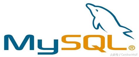 Mysql数据库规范——设计篇 每日头条
