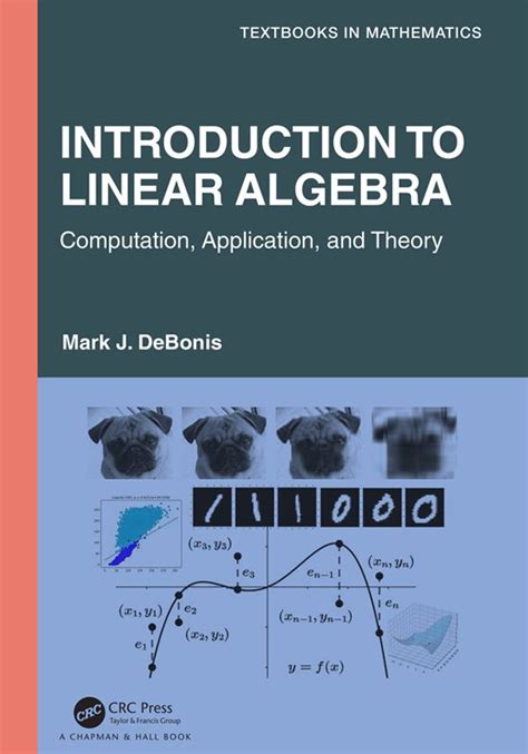 Introduction To Linear Algebra Computation Application And Theory Softarchive
