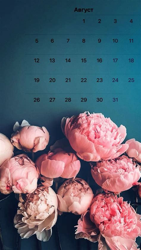 Календарь Август2024 эстетика готовый шаблон в сторис для оформления соц сети In 2024