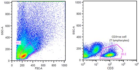 Flow Cytometry Analysis Software Free Beautiful Flower Arrangements And Flower Gardens