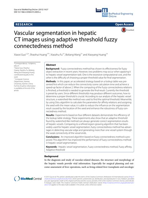 Pdf Vascular Segmentation In Hepatic Ct Images Using Adaptive