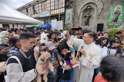 Mmda Suspends Color Coding Scheme Today Journal News Online