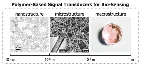 Chemical Design Of Functional Polymer Structures For Biosensors From Nanoscale To Macroscale