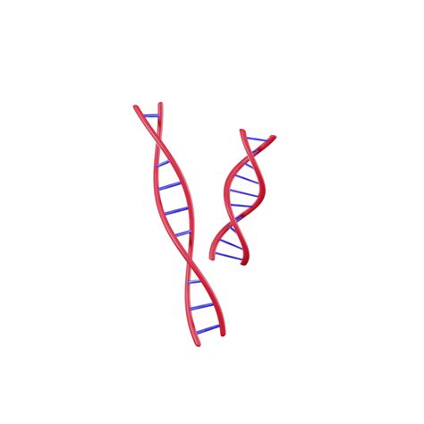 Dna Biometric Structure 3d Illustration 24324675 Png