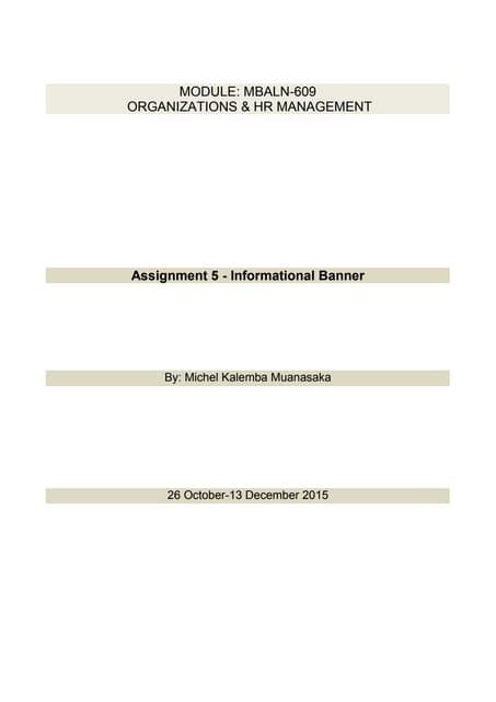 Assignment 5 Informational Banner Pdf Careers