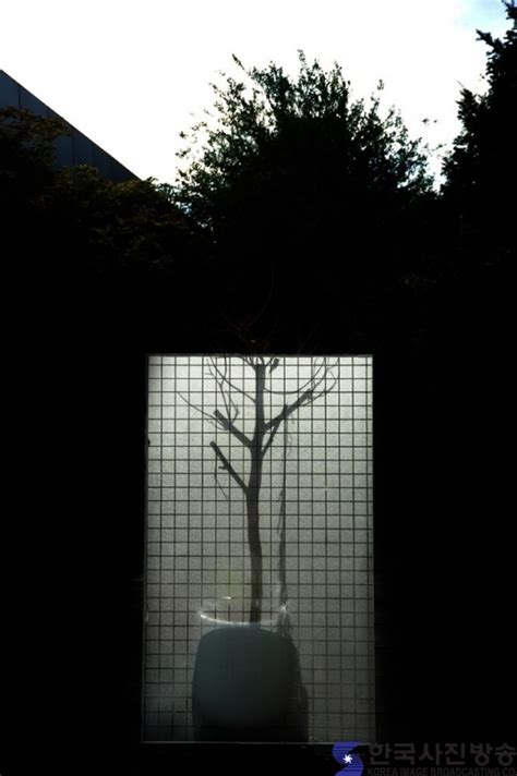 김가중 작품사두면 댑ㄱ 날겁니다 한국사진방송 대한민국예술