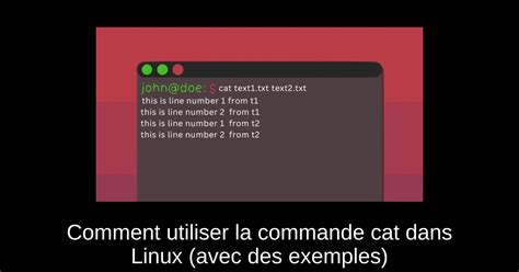 Comment Utiliser La Commande Cat Dans Linux Avec Des Exemples Ca