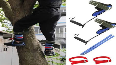 Best Tree Climbing Spikes A Comprehensive Guide
