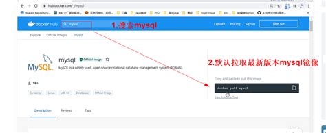 Docker上安装上常用软件 Mysql 苹果芒 博客园