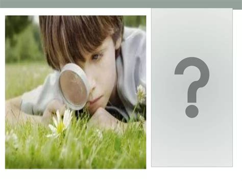 Self Directed Learning Sdl Pptx Adult Education Education