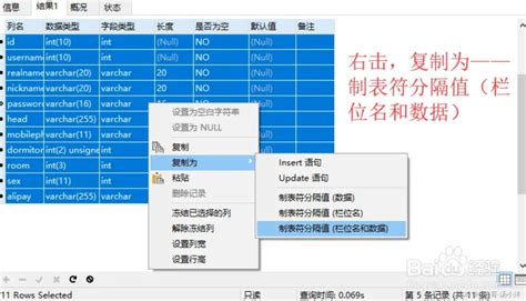 Navicat如何导出excel格式的表结构navicat导出表结构到excel Csdn博客