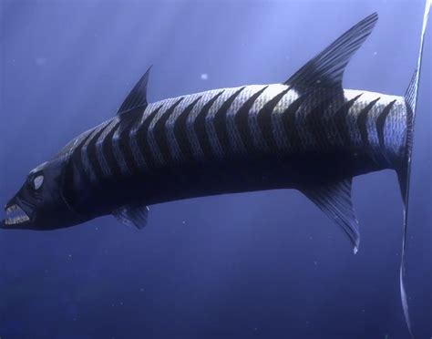 Barracuda Finding Nemo Antagonists Wiki Fandom