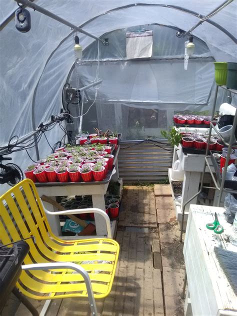 Github Thegroundhogwhispereray Yahs Greenhouse Raspberry Pi Greenhouse Automation Project