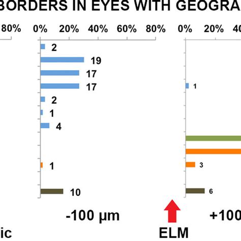 Distribution Of Rpe Morphologies With Respect To The Elm Descent In Download Scientific Diagram