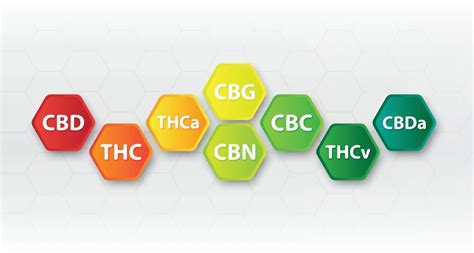 Cannabidiol Type Cannabinoids A Comprehensive Overview