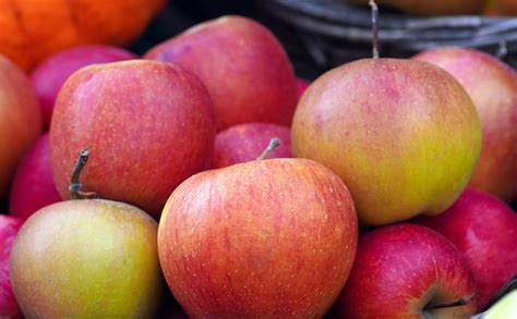 과일 사과 가을 Pixabay의 무료 사진 Pixabay